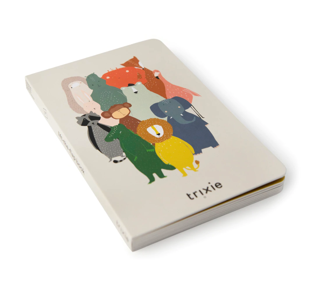 Lift-the-flap book – Baby Care Nursery