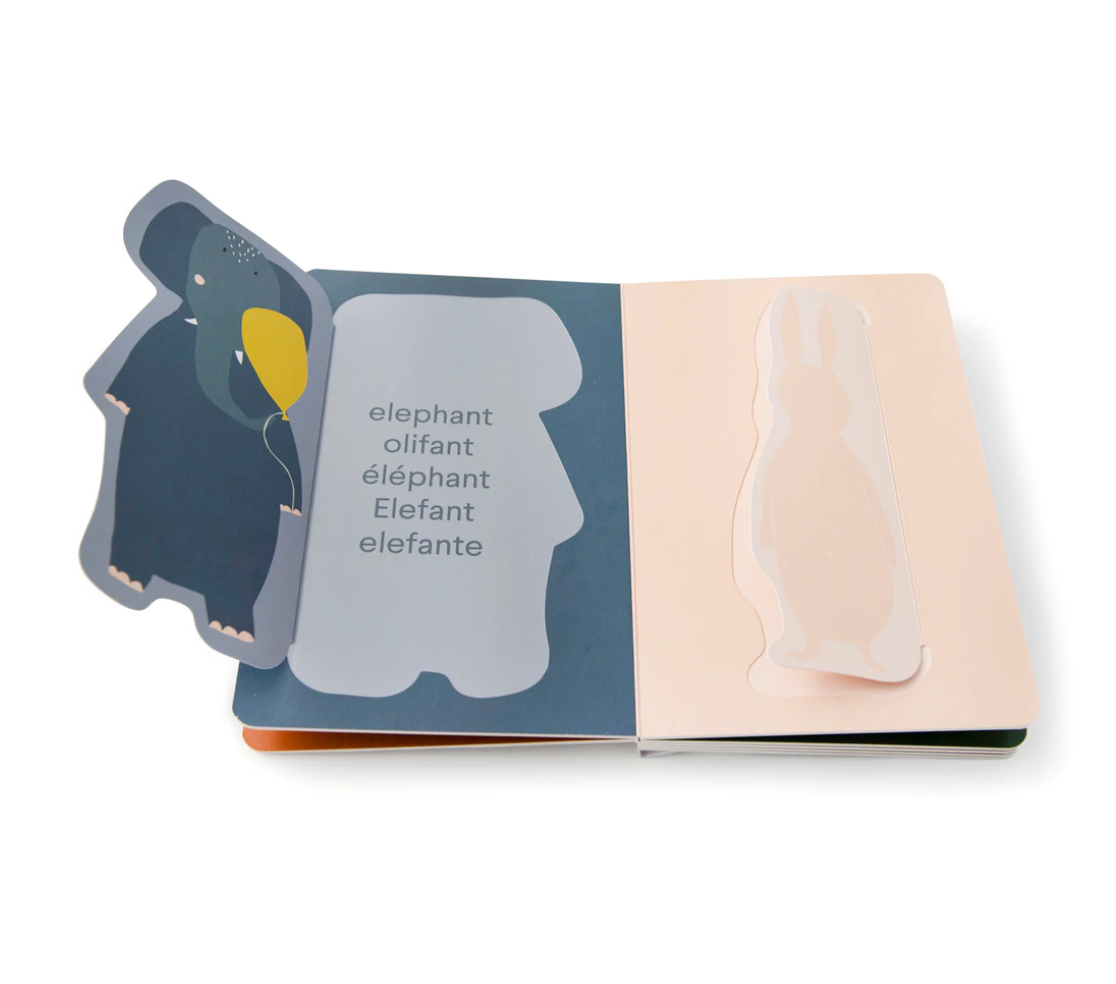 Lift-the-flap book – Baby Care Nursery