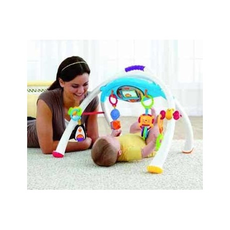 Fisher Price Apptivity Gym – Baby Care Nursery
